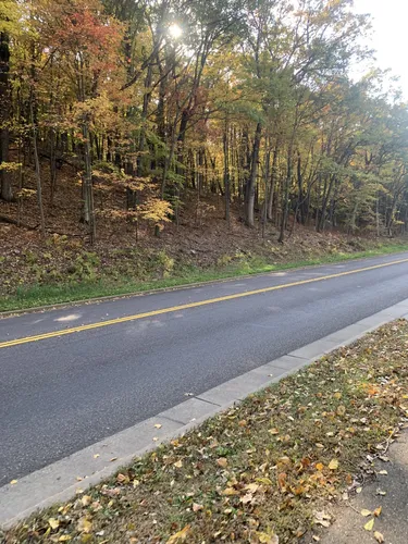 Best Bird Watching Trails in Chippewa Falls | AllTrails