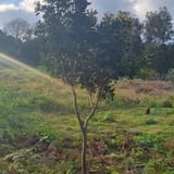 Tallow Beach and Arakwal National Park Trail, New South Wales ...