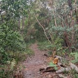 Tallow Beach and Arakwal National Park Trail, New South Wales ...