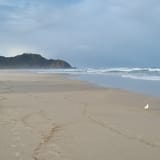 Tallow Beach and Arakwal National Park Trail, New South Wales ...