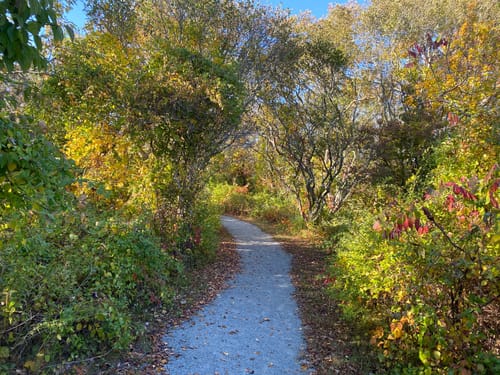 Best Hikes and Trails in Ninigret National Wildlife Refuge | AllTrails