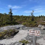 Little Jackson Mountain Trail, Maine - 296 Reviews, Map | AllTrails