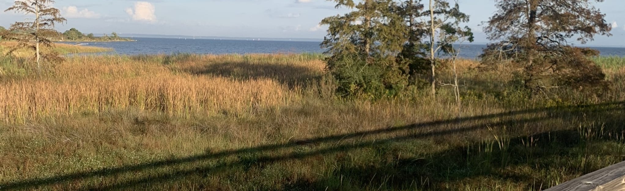 Arlington Park Walk, Alabama - 9 Reviews, Map | AllTrails