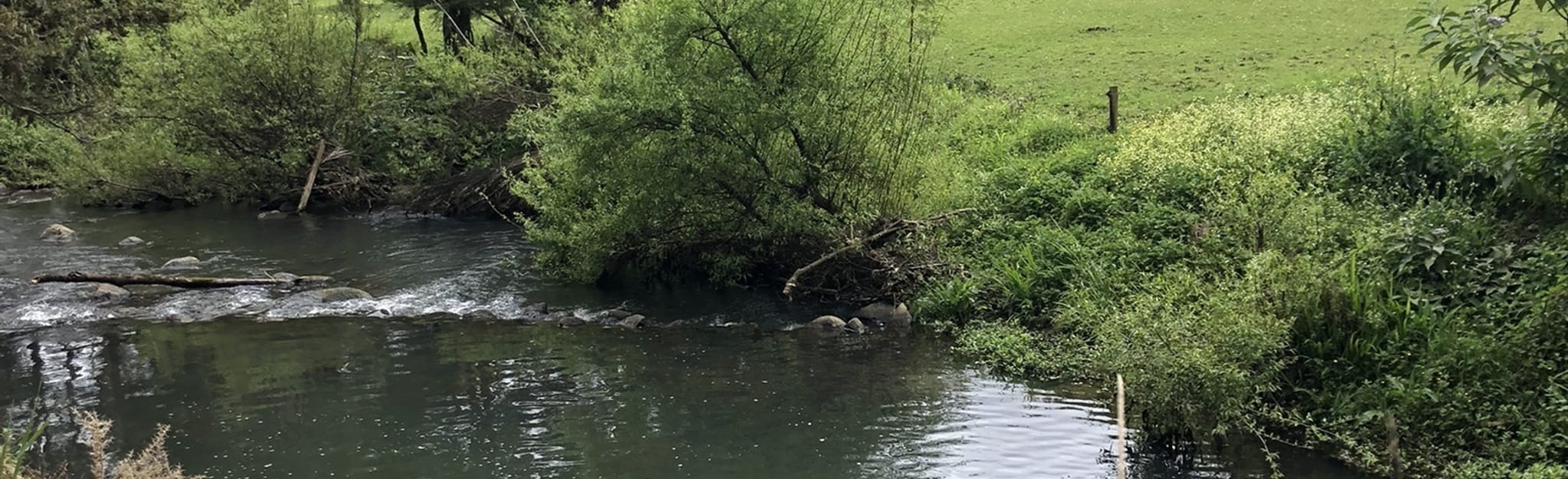 Paranui Falls Loop, Northland, New Zealand - 24 Reviews, Map | AllTrails