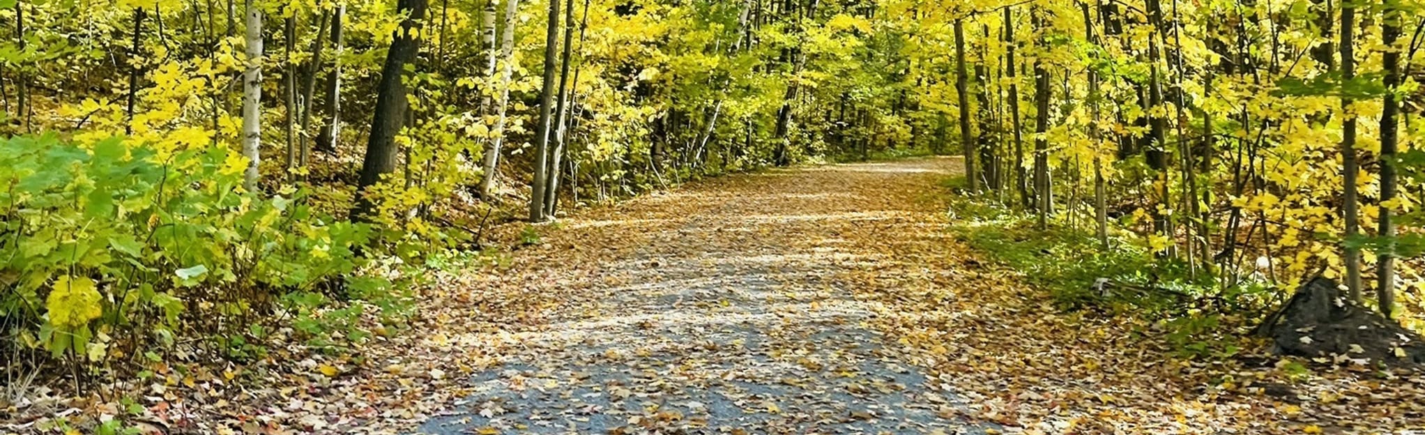 Grom Loop (aka Beginner Trail), Michigan - 54 Reviews, Map | AllTrails