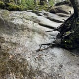 Hedgehog Mountain and Rooster Comb via Wedge Brook Trail Loop , New ...