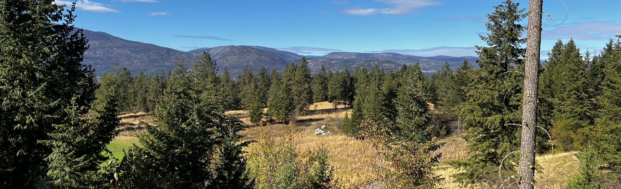 Ellison and Predator Loop Via Granite and Nest Trails: 41 Reviews, Map ...