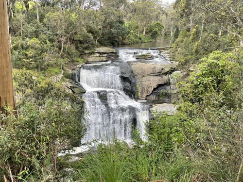 Best Hikes and Trails in Agnes Falls Scenic Reserve | AllTrails