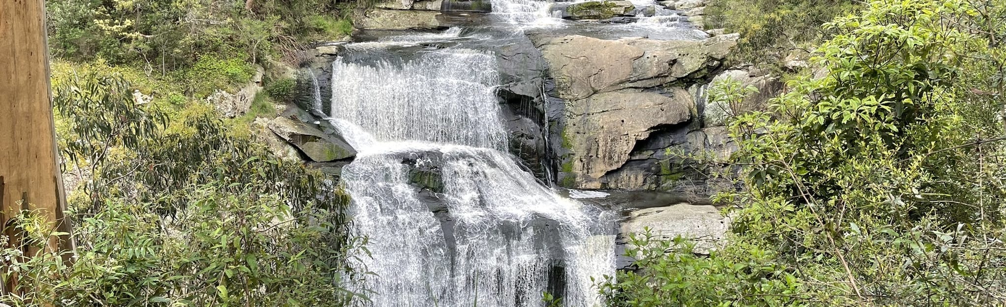 Agnes Falls Loop, Victoria, Australia - 37 Reviews, Map | AllTrails