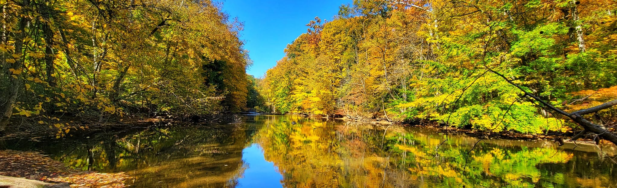 Lyons Falls, Hemlock Gorge and Pleasant Hill Trail Loop: 518 Reviews ...