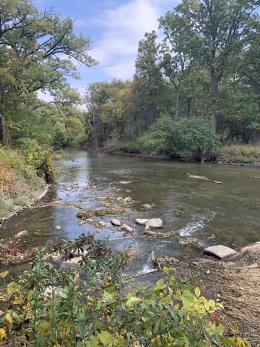 Best Hikes and Trails in Bemis Woods South | AllTrails