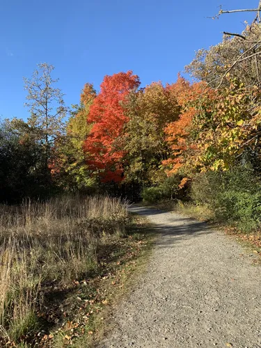 10 Best Trails and Hikes in Ottawa | AllTrails