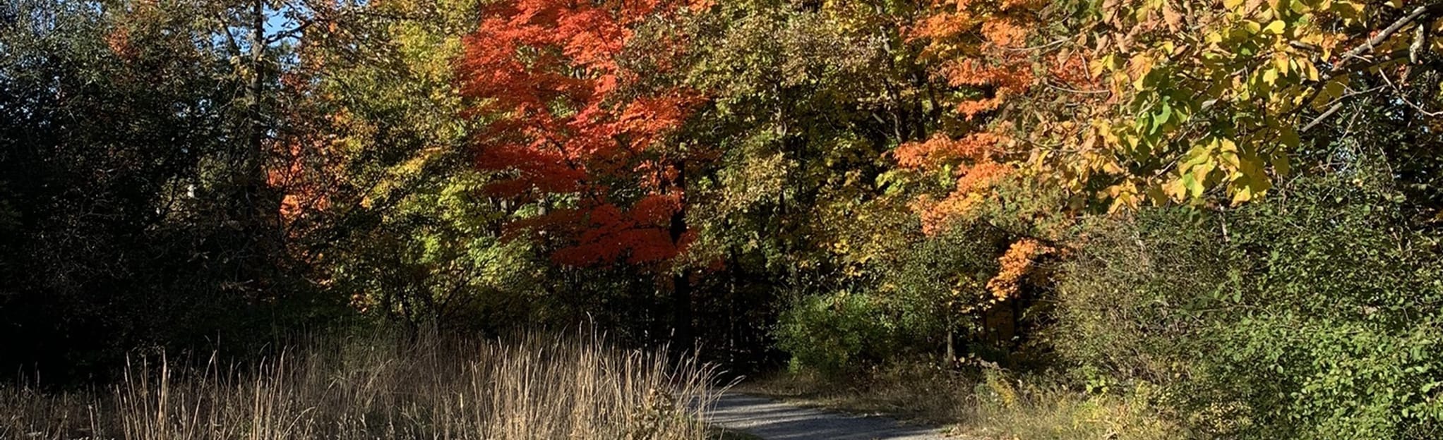 Old Quarry Trail: 547 Reviews, Map - Ontario, Canada | AllTrails