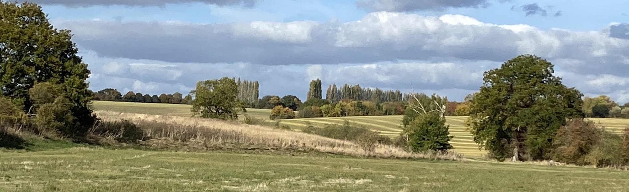 Bungay and Earsham Circular, Suffolk, England - 10 Reviews, Map | AllTrails