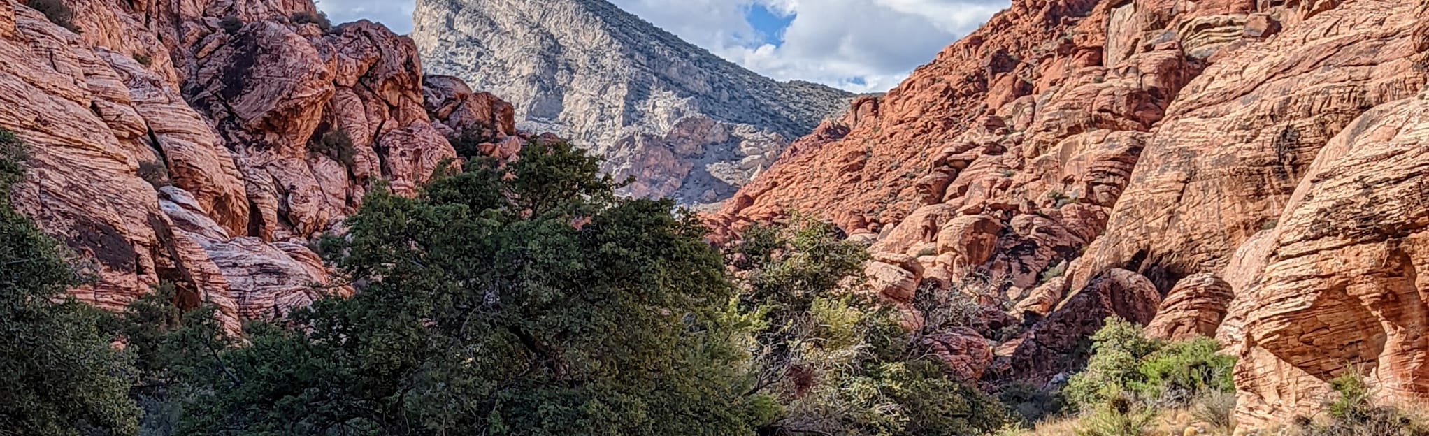 Kraft Mountain, Calico Tanks and Calico Hills Loop, Nevada - 82 Reviews ...