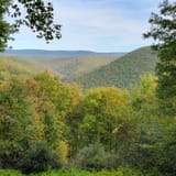 Black Forest North Loop Trail, Pennsylvania - 284 Reviews, Map | AllTrails