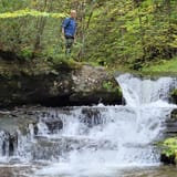 Black Forest North Loop Trail, Pennsylvania - 289 Reviews, Map | AllTrails