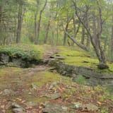 Black Forest North Loop Trail, Pennsylvania - 289 Reviews, Map | AllTrails