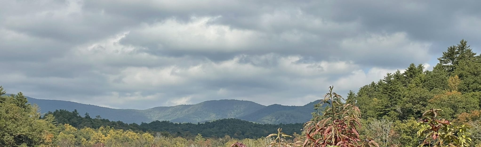 Jake Mountain, Bull Mountain, Saddle Back Loop Trail : 49 Reviews, Map ...