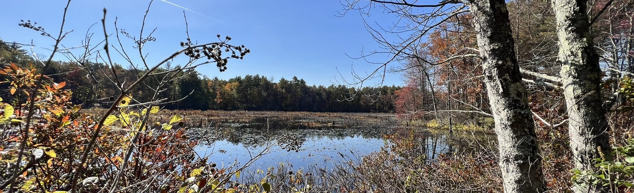 Acorn Trail: 291 Reviews, Map - Massachusetts | AllTrails