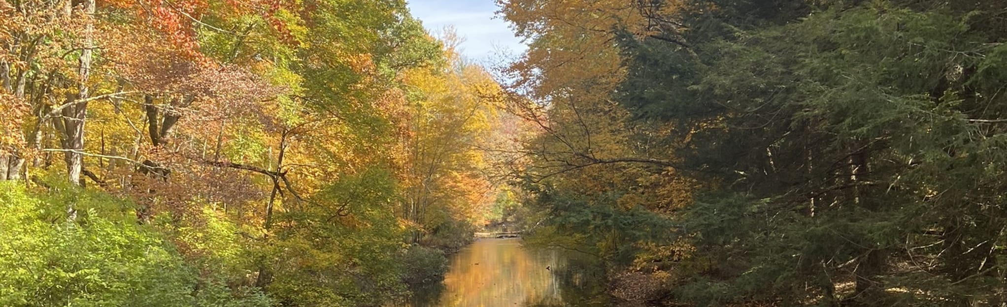 Wood Frog Trail and Swamp Trail Loop, Pennsylvania - 56 Reviews, Map ...