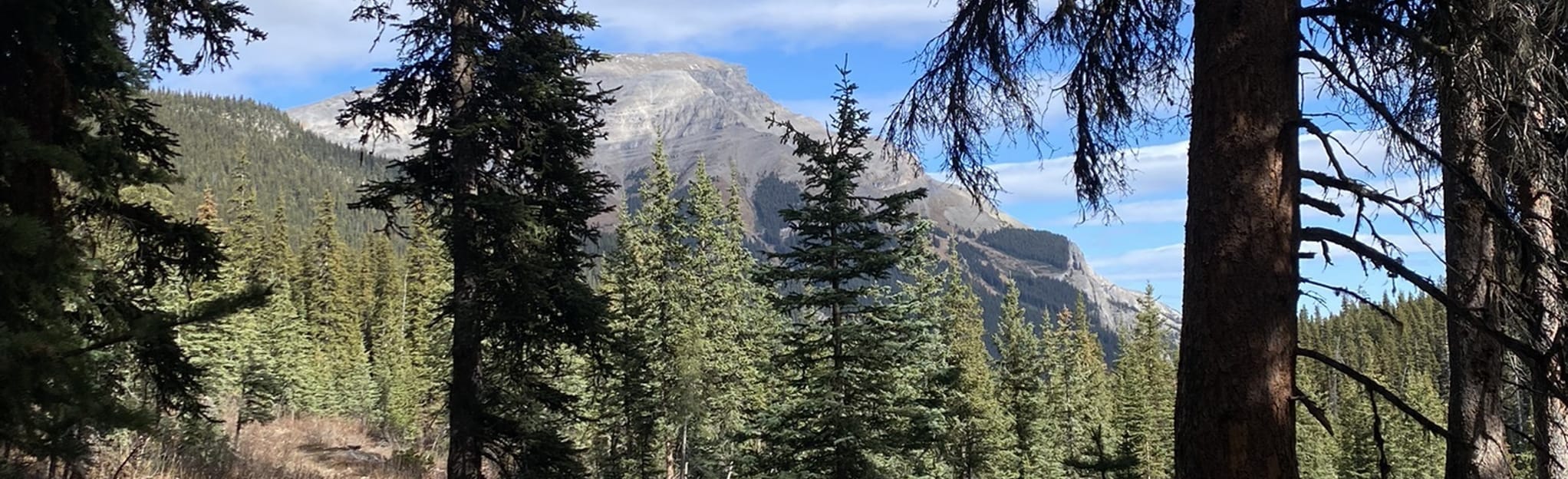 The Monarch Peak: 3 Reviews, Map - Alberta, Canada | AllTrails