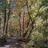 Maple Canyon to Whiting Campground, Utah - 382 Reviews, Map | AllTrails