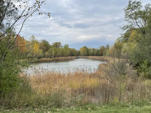 Best Hikes and Trails in Hawk Woods Nature Center | AllTrails