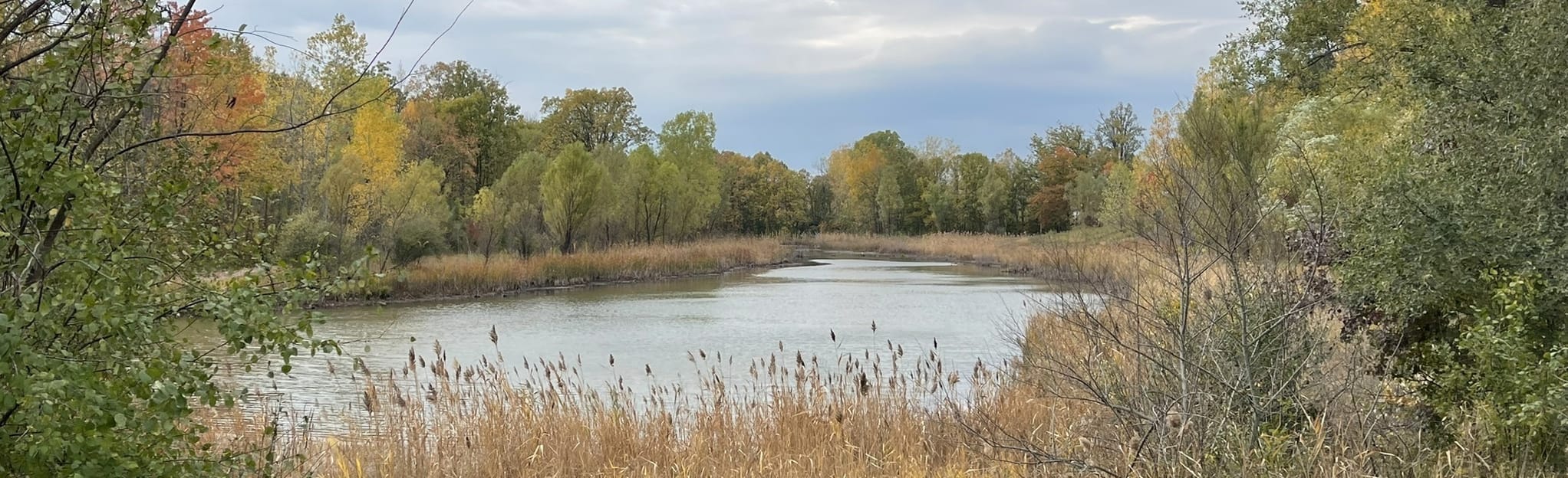 Hawk Woods Loop: 119 Reviews, Map - Michigan | AllTrails