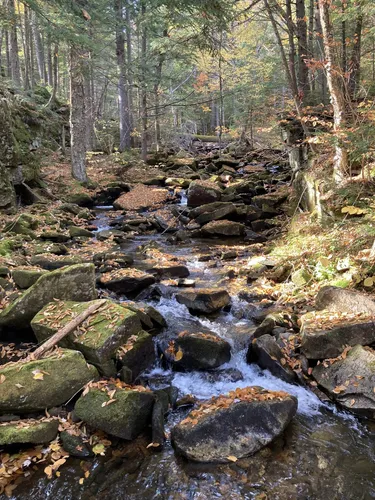 Best Hikes and Trails in Moose Brook State Park | AllTrails