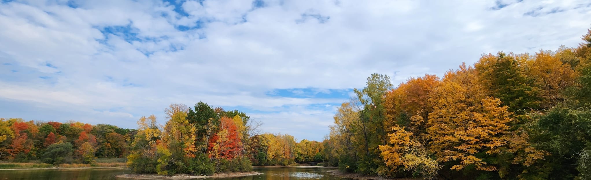 Maybury Hiking Trail Loop, Michigan - 2,448 Reviews, Map | AllTrails