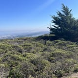Sweeney Ridge Trail via Sneath Lane, California - 1,038 Reviews, Map ...