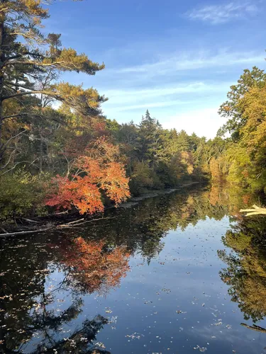 Best Hikes and Trails in Bradley Palmer State Park | AllTrails
