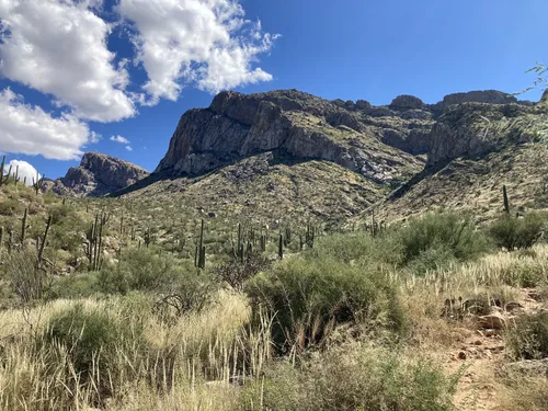 10 Best Hikes and Trails in Pusch Ridge Wilderness | AllTrails