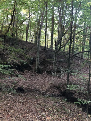 Best Hikes and Trails in Salthouse Branch Park | AllTrails