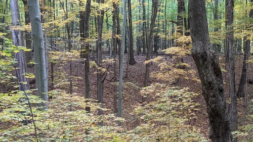 Best Hikes and Trails in Cheney State Park | AllTrails