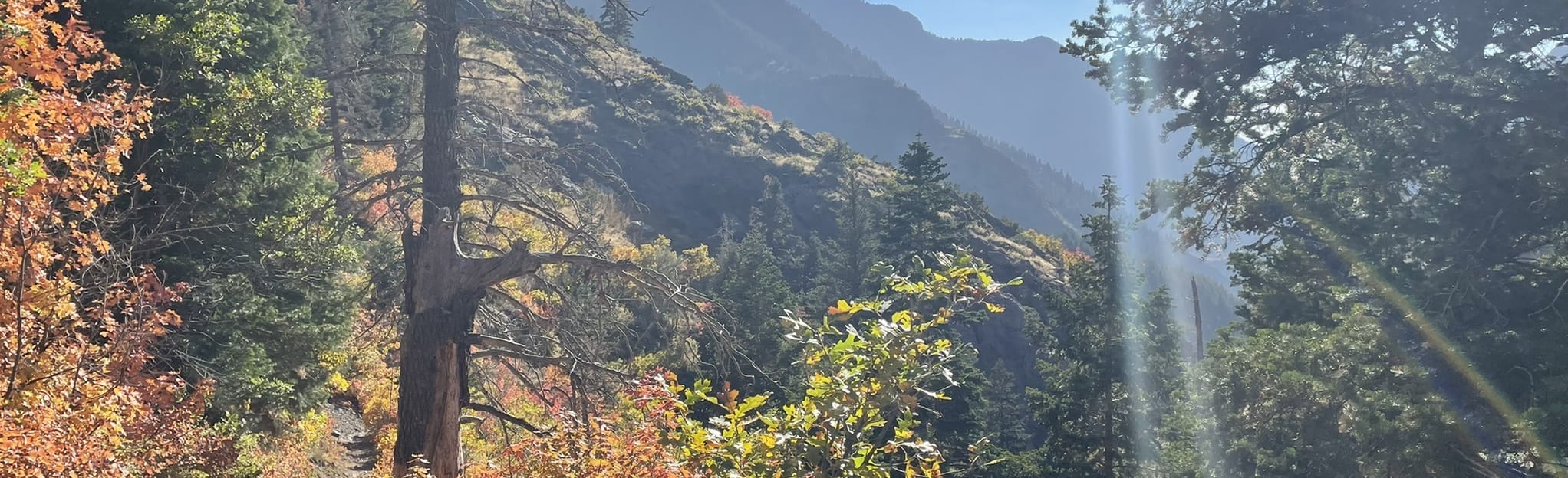 Moss Ledge Waterfall : 334 Photos - Utah | Randonnée | AllTrails