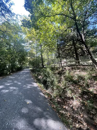 Best Hikes and Trails in Markham Hill Nature Preserve | AllTrails