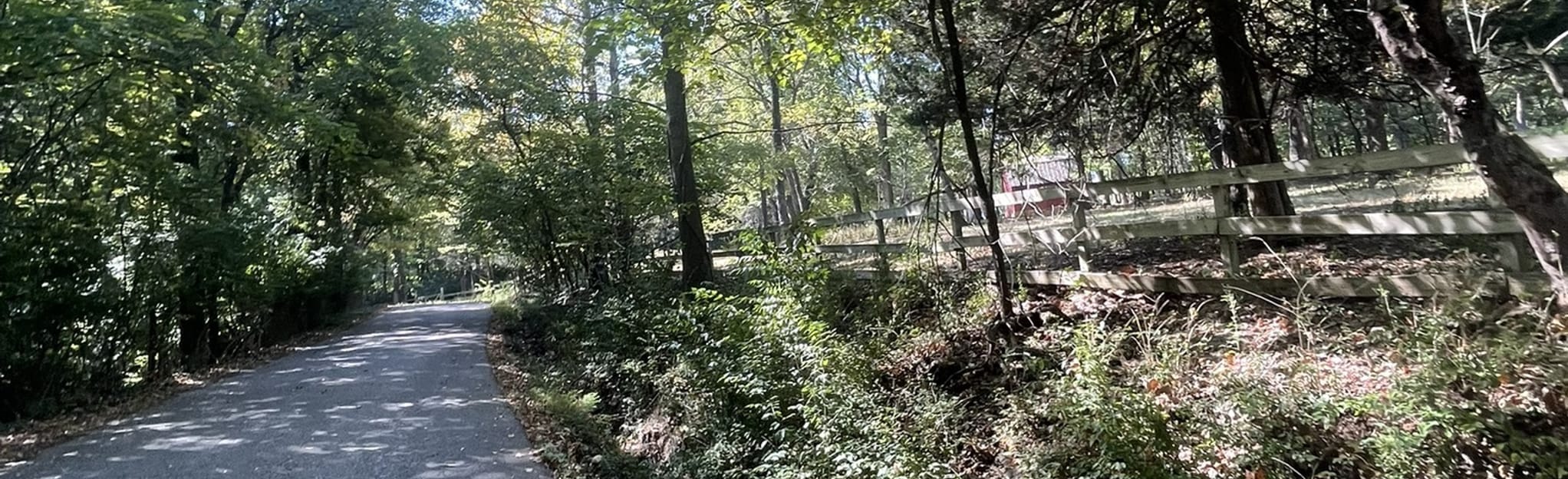 Markham Hill Nature Trails: 267 Reviews, Map - Arkansas | AllTrails