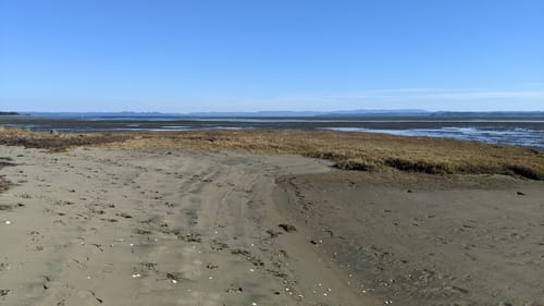 2023 Best Beach Trails in Willapa National Wildlife Refuge | AllTrails