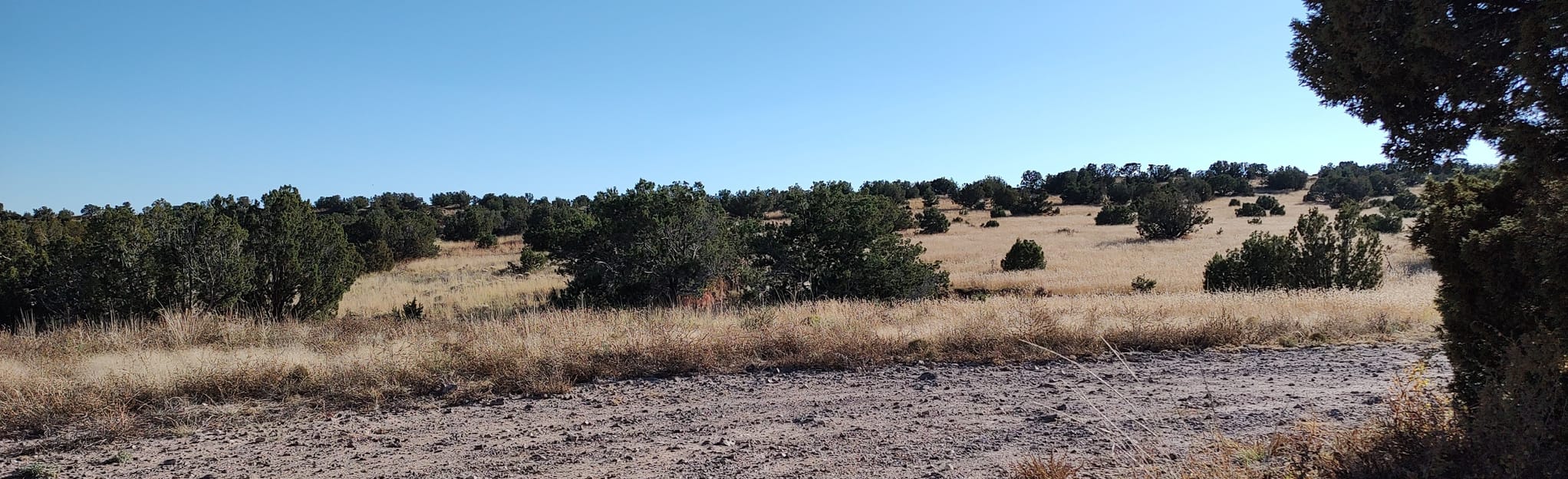 Frijoles Overlook, New Mexico - 4 Reviews, Map | AllTrails