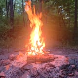 Nebo Ridge Trail, Indiana - 196 Reviews, Map | AllTrails