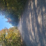 Nebo Ridge Trail, Indiana - 196 Reviews, Map | AllTrails