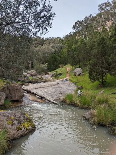 Best Short Trails in Chiltern-Mt Pilot National Park | AllTrails