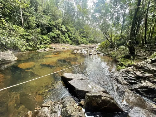 10 Best Waterfall Trails in Paluma Range National Park | AllTrails
