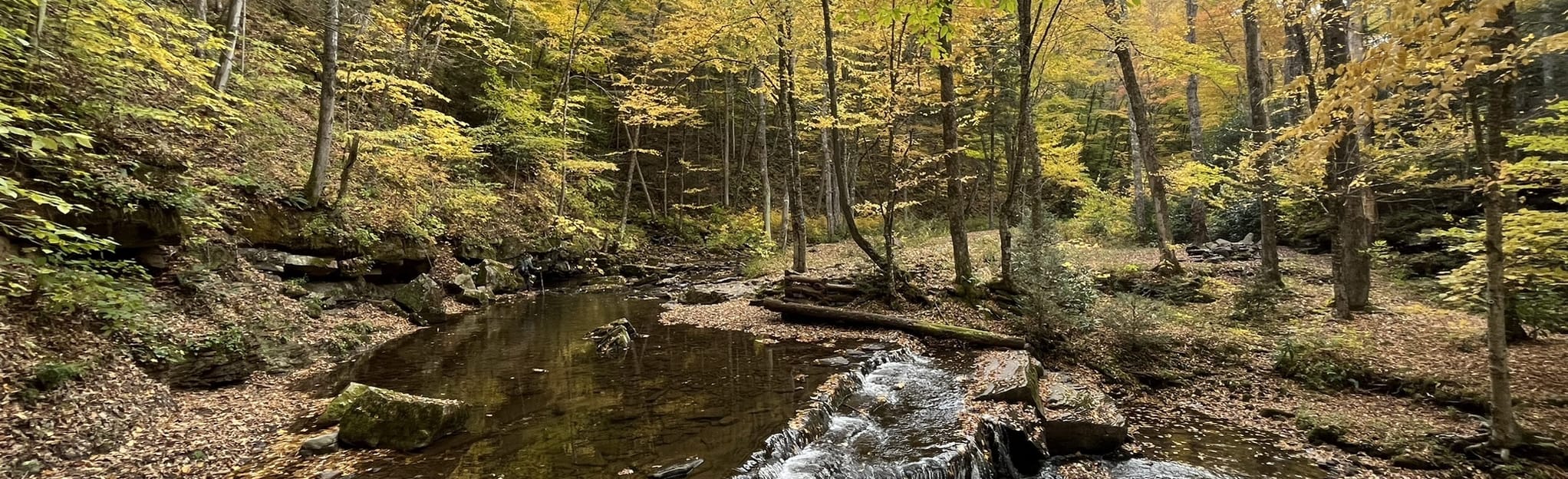 Seneca Creek Trail, West Virginia - 307 Reviews, Map | AllTrails