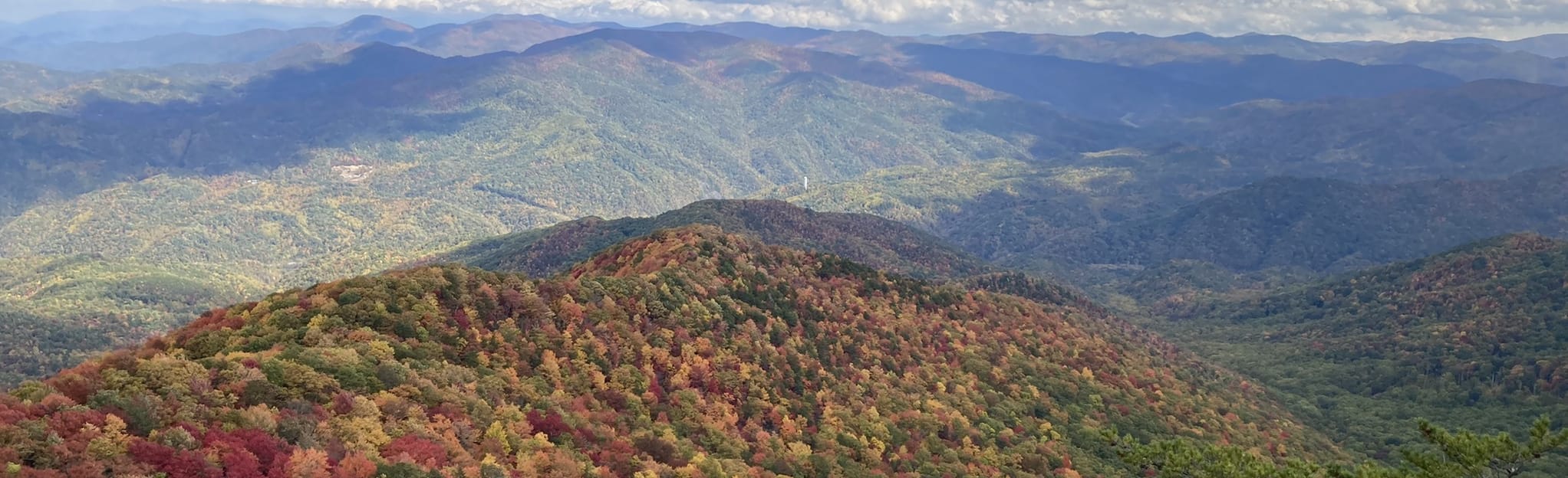 Cosby to Big Creek via Gabes Mt, Maddron Bald, and Appalachian Trail: 5 ...