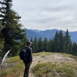 Polallie Ridge Trail: Short Version, Washington - 22 Reviews, Map ...