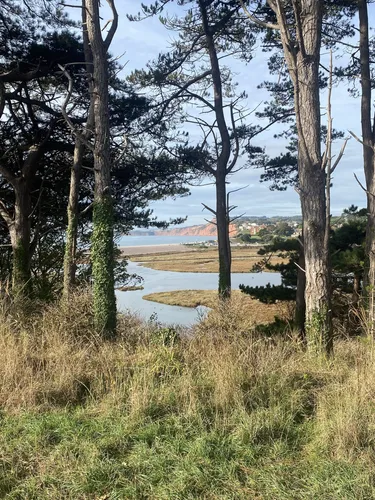 2023 Best 10 Forest Trails in East Devon Area of Outstanding Natural ...