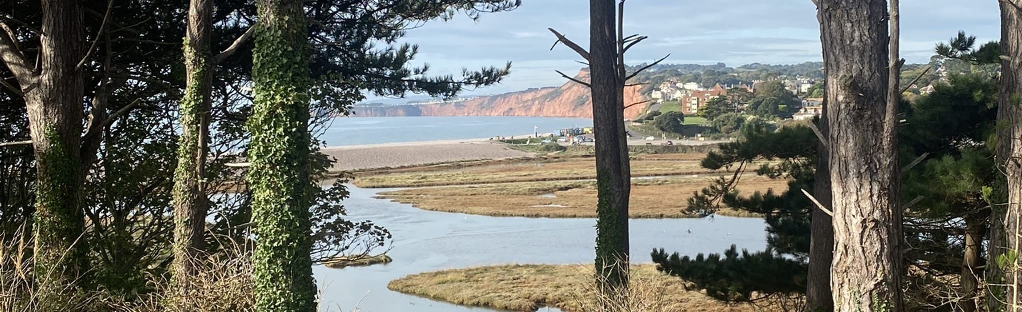 Otterton and River Otter Circular: 383 Reviews, Map - Devon, England ...